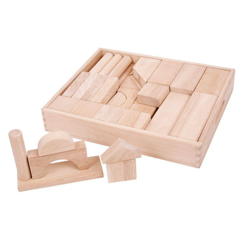 Large Wooden Blocks Collection – Springboard Supplies