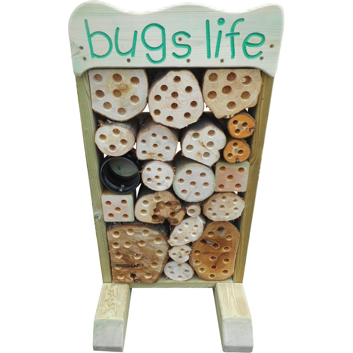 Timber Bug's Life Unit | Springboard Supplies